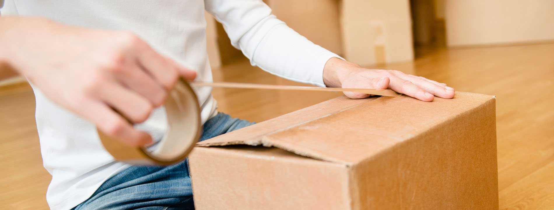 El Alamo | Cajas de Cartón