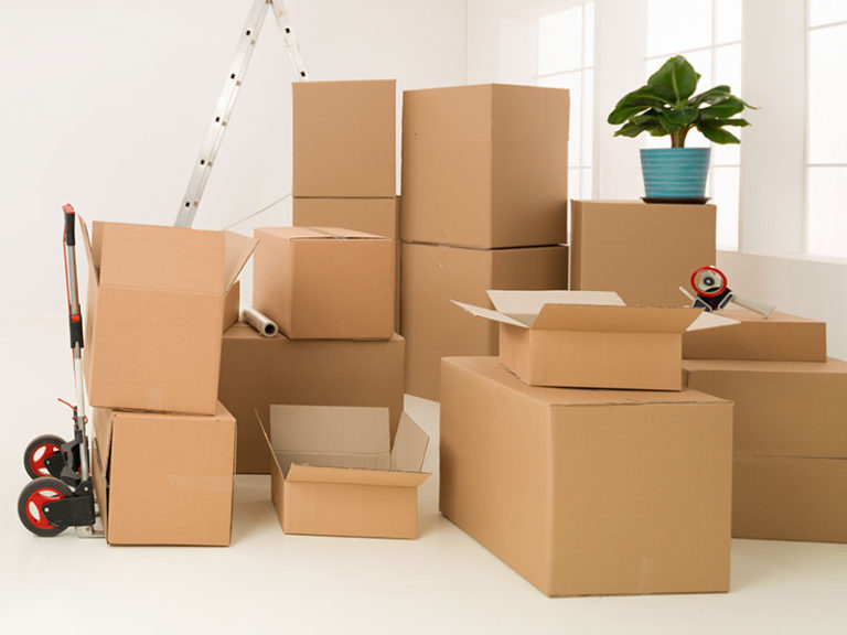 Venta de Cajas de Cartón en la Ciudad de México – El Alamo | Cajas de ...